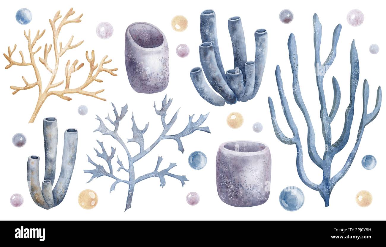 Coral Reef Set. Hand drawn watercolor bundle with underwater life on ...
