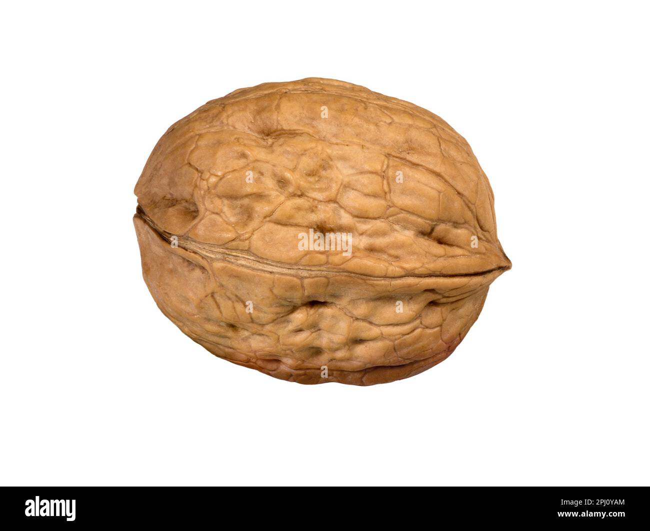Walnut whole hi-res stock photography and images - Alamy
