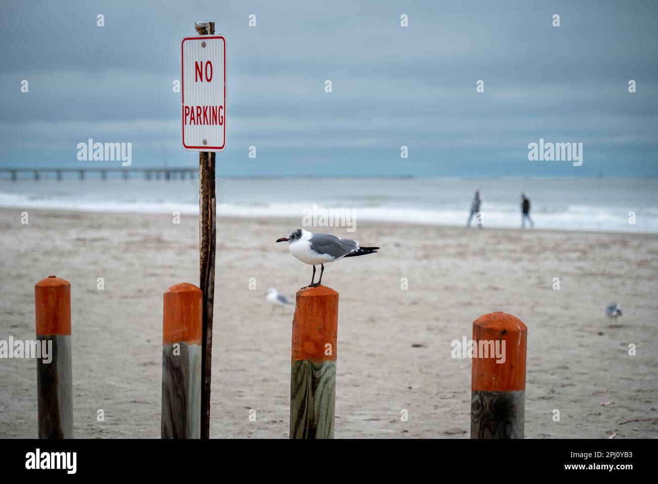 Port aransas beach hi-res stock photography and images - Alamy