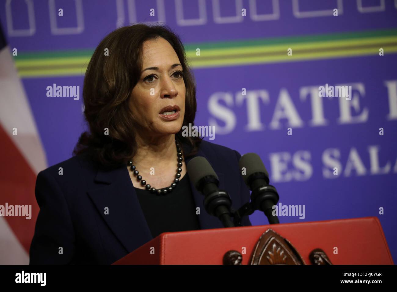 U.S Vice President Kamala Harris addresses a news conference following ...