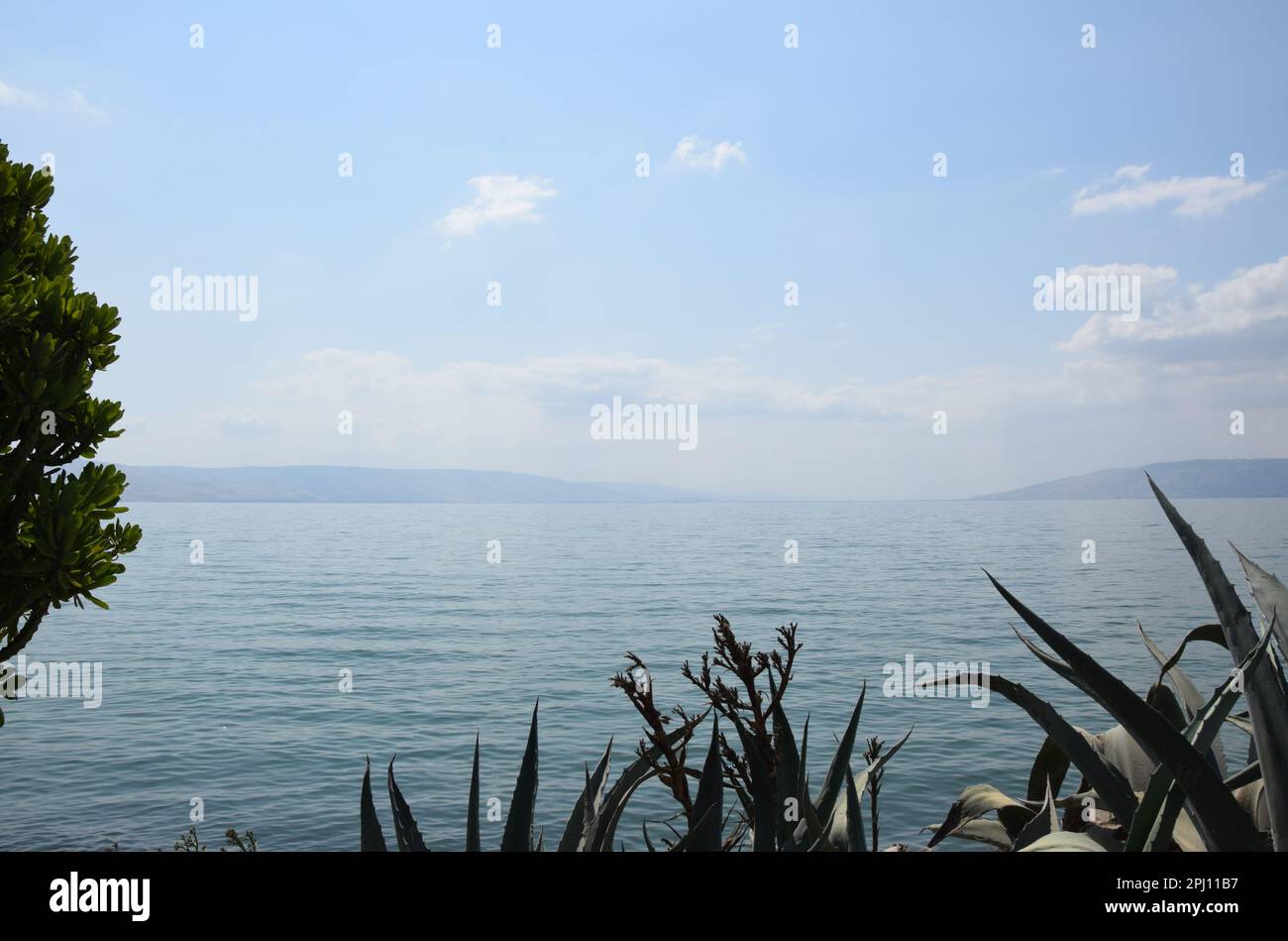 Capernaum on the northern coast of the Sea of Galilee, Israel Stock ...