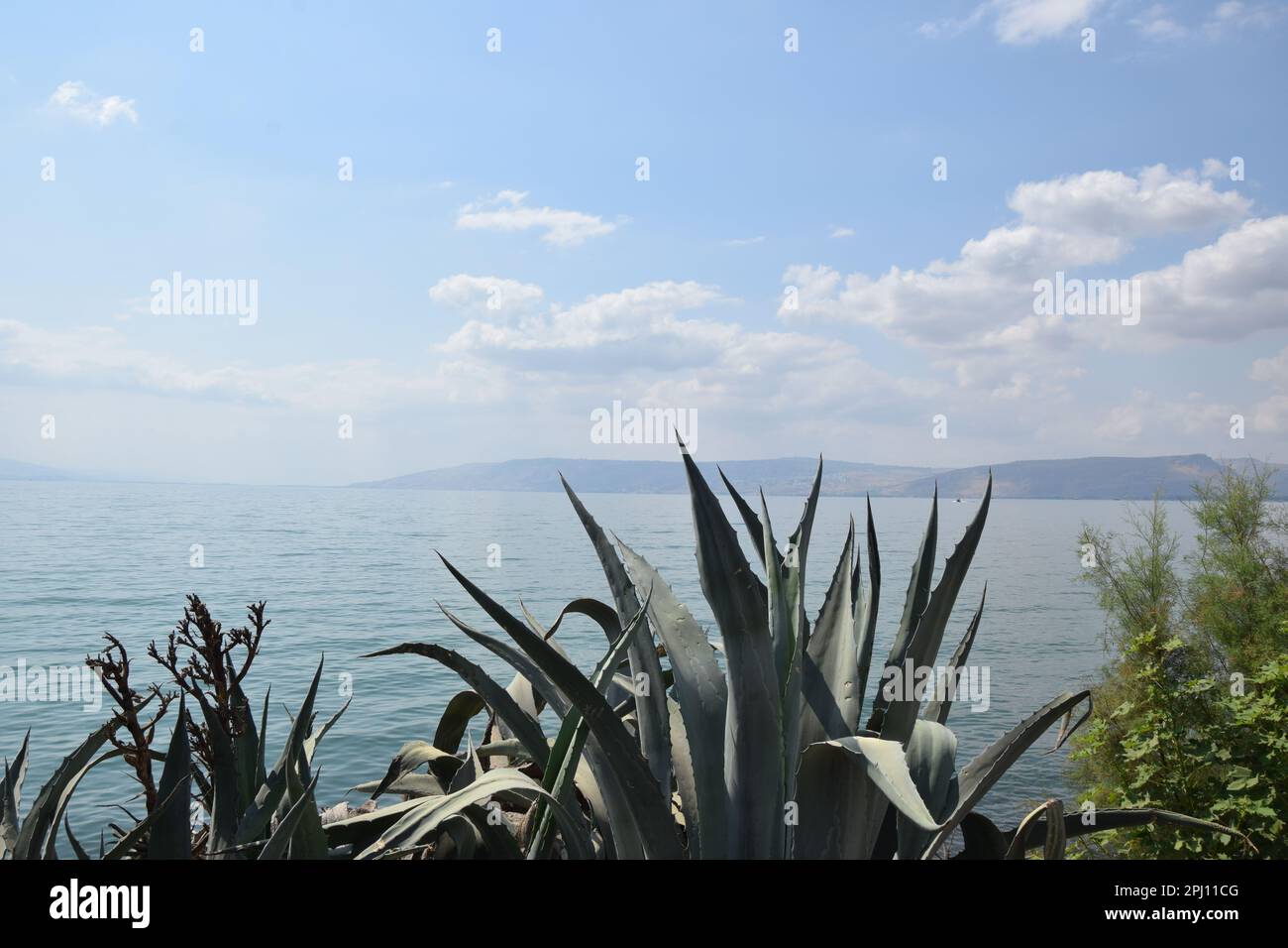 Capernaum on the northern coast of the Sea of Galilee, Israel Stock ...