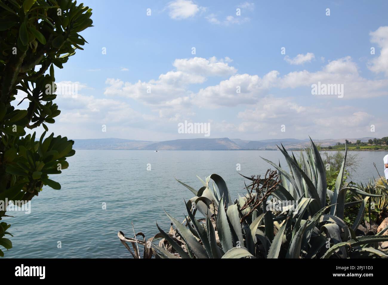 Capernaum on the northern coast of the Sea of Galilee, Israel Stock ...
