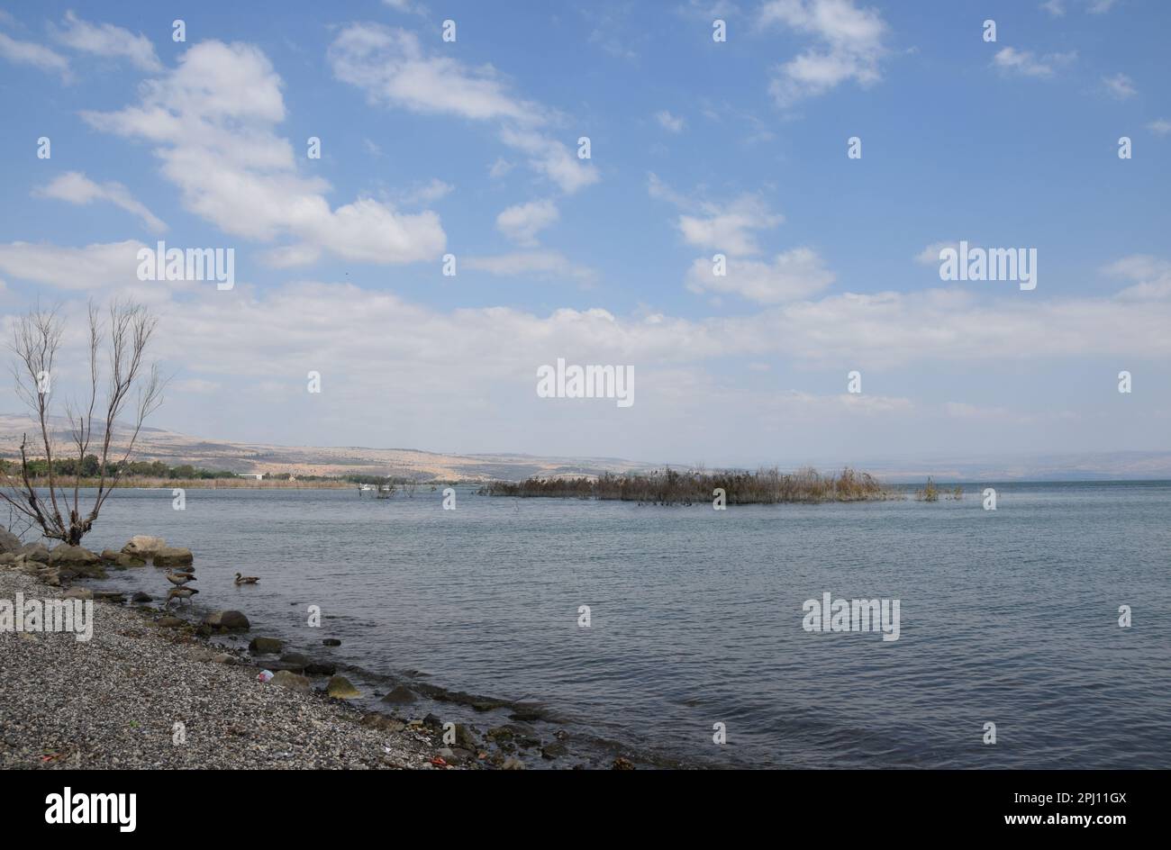 Recital Beach near Arbel Nature Reserve on the west coast of the Sea of ...