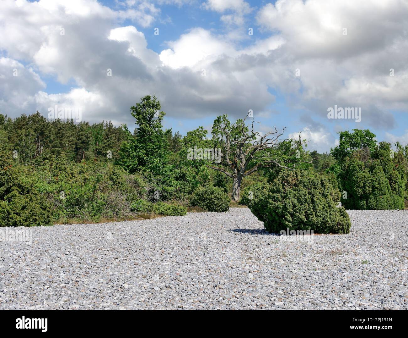 Prora germany hi-res stock photography and images - Alamy