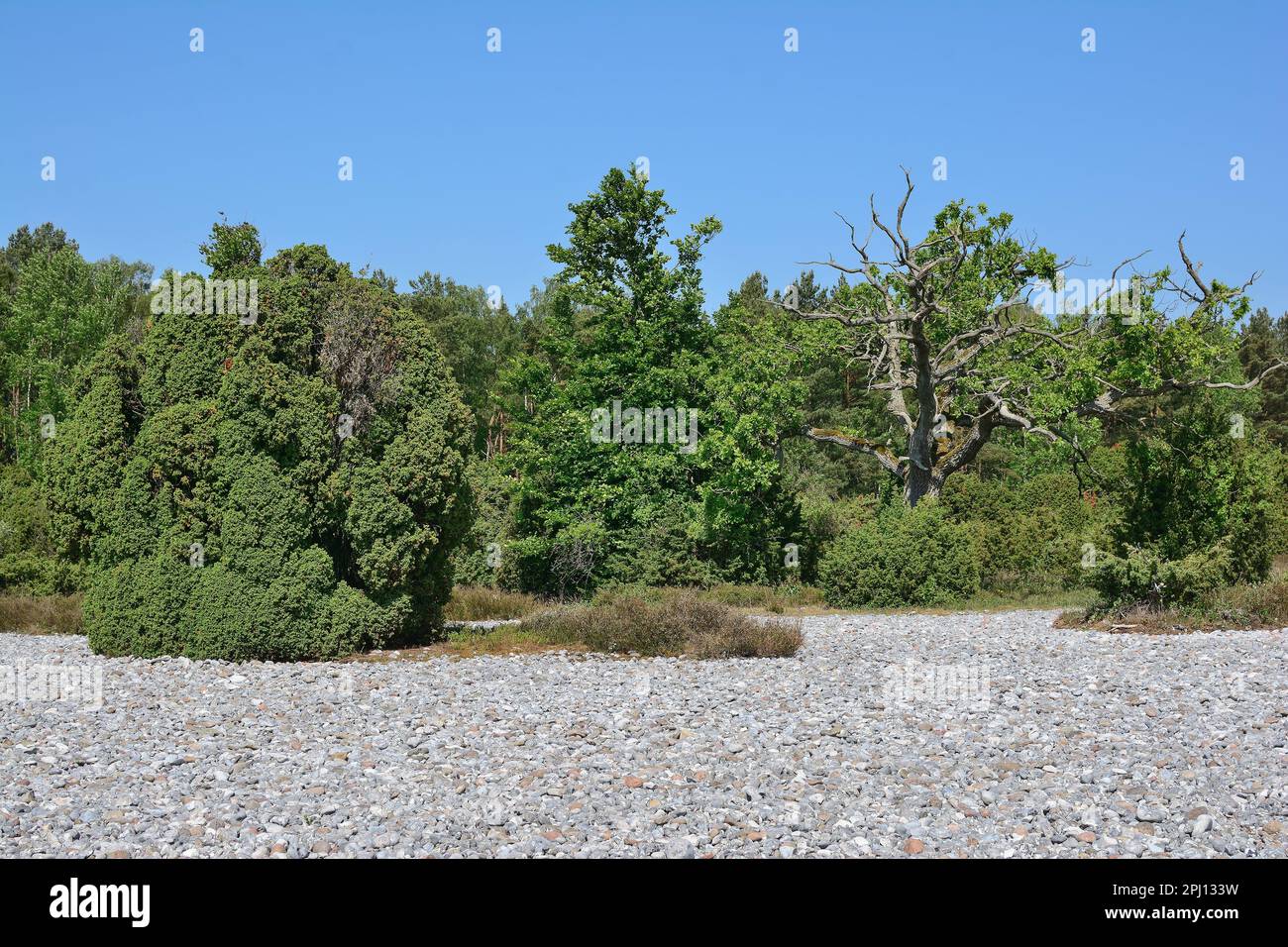 Mukran hi-res stock photography and images - Alamy