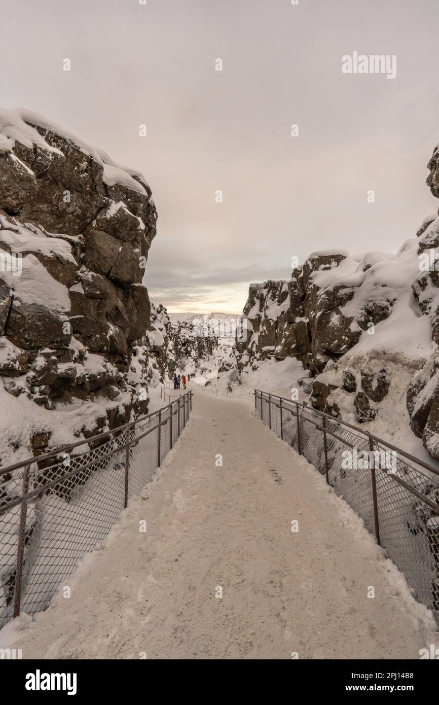 Metal road with tramel floor and iron fence completely covered with ...