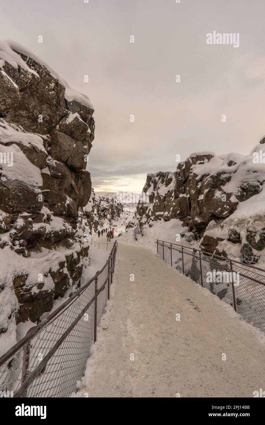 Metal road with tramel floor and iron fence completely covered with ...