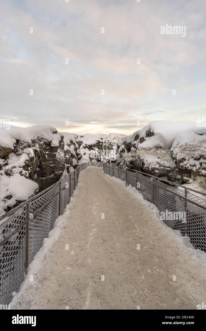 Metal road with tramel floor and iron fence completely covered with ...