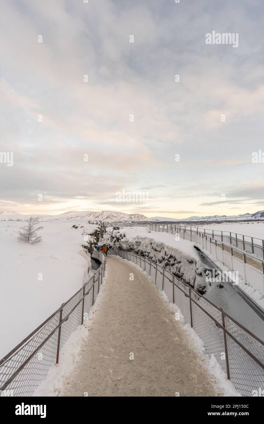 Metal road with tramel floor and iron fence completely covered with ...