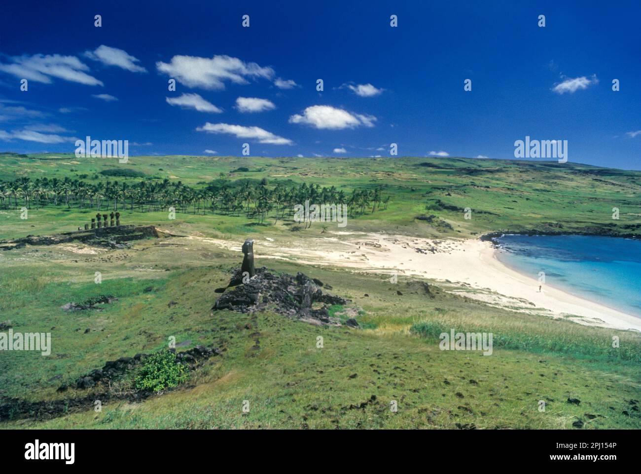 STONE MOAI HEAD STATUES AHU ANAKENA EASTER ISLAND RAPA NUI CHILE Stock ...