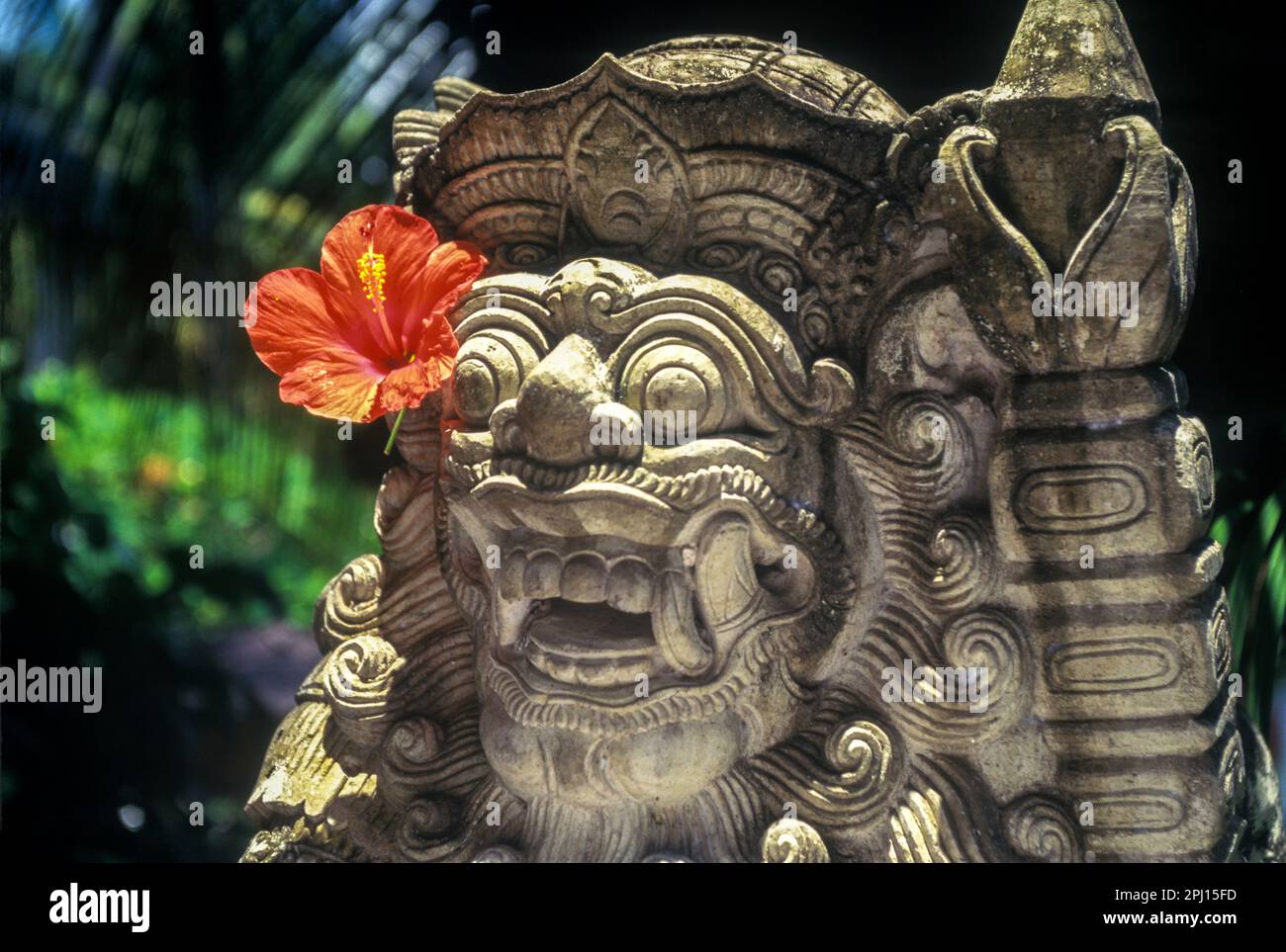 Face guard not animal hi-res stock photography and images - Alamy