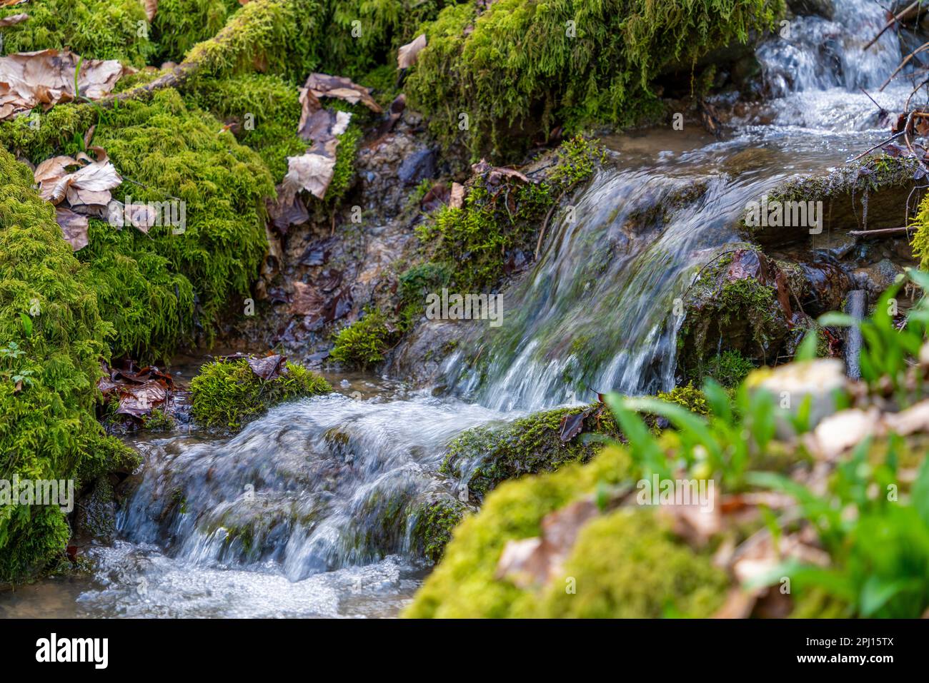 Closeup shot of a small rivulet with some cascades in early spring time ...