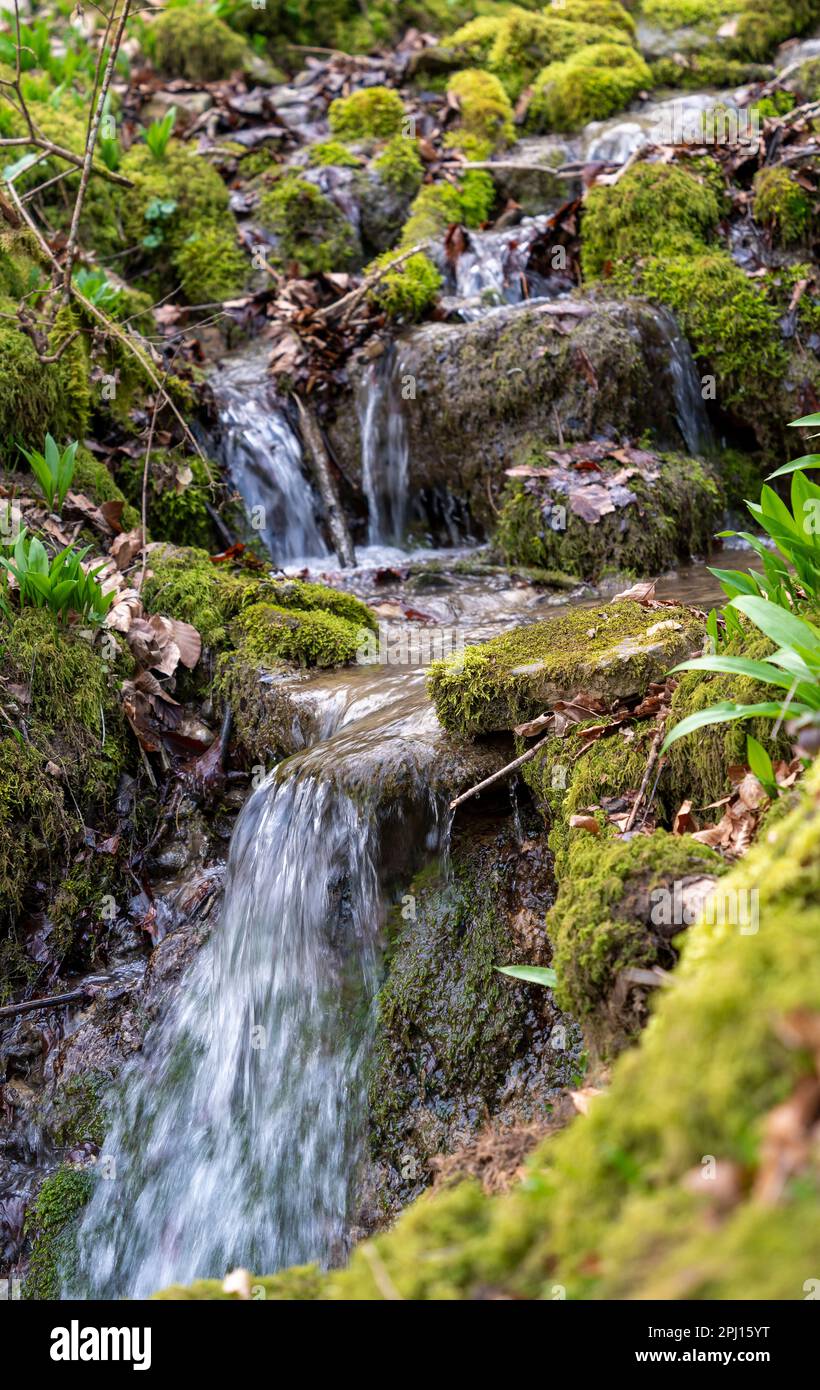 Closeup shot of a small rivulet with some cascades in early spring time ...