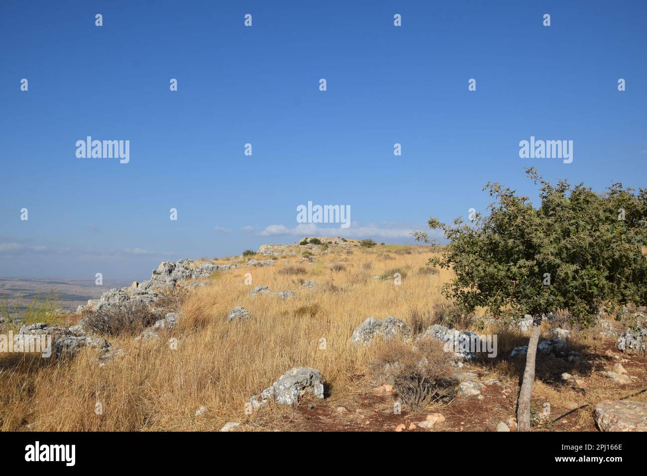 Mount Nitai Lookout - Hike along the Cliffs of Arbel Nature Reserve ...