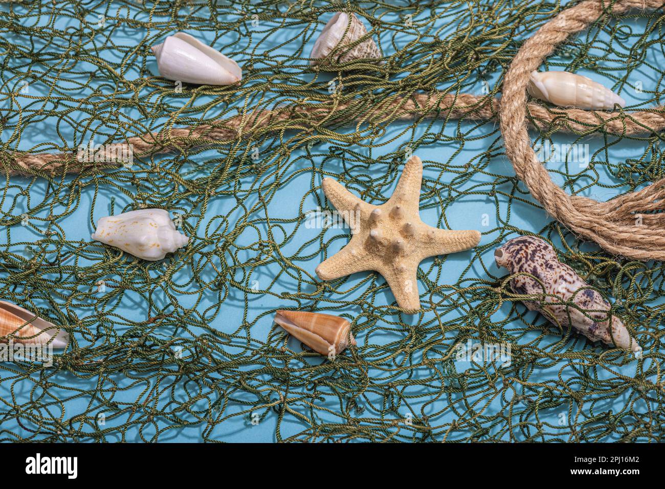 Blue nautical background with sea shells, starfishes and fishing net ...