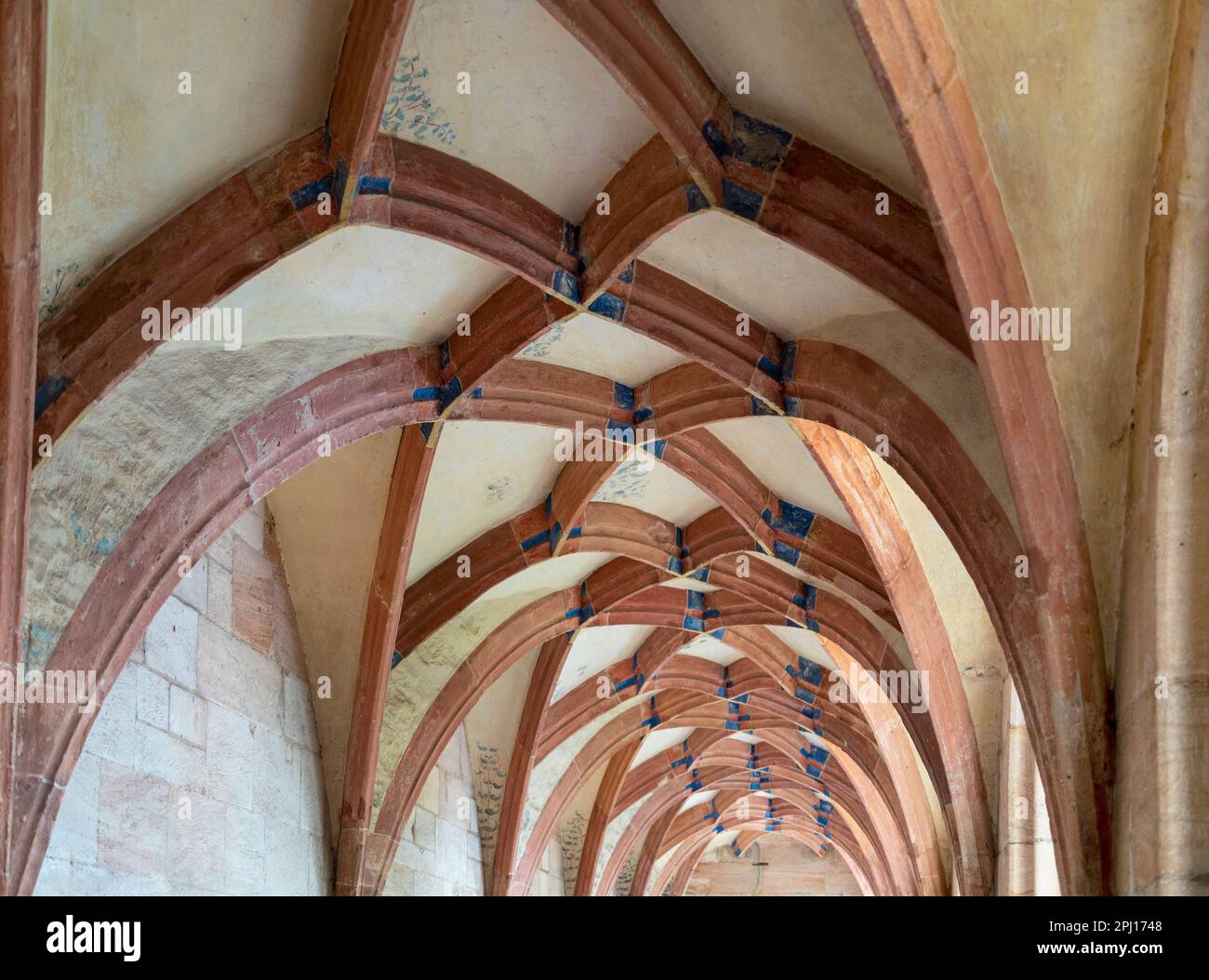 Architectural detail showing a historic rib vault seen at a abbey in ...