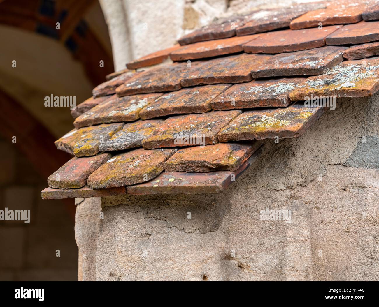 Flat Terracotta Roof Tiles