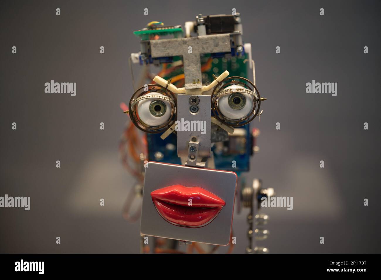 Inkha Reactive Robotic Head - Matthew Walker Stock Photo - Alamy