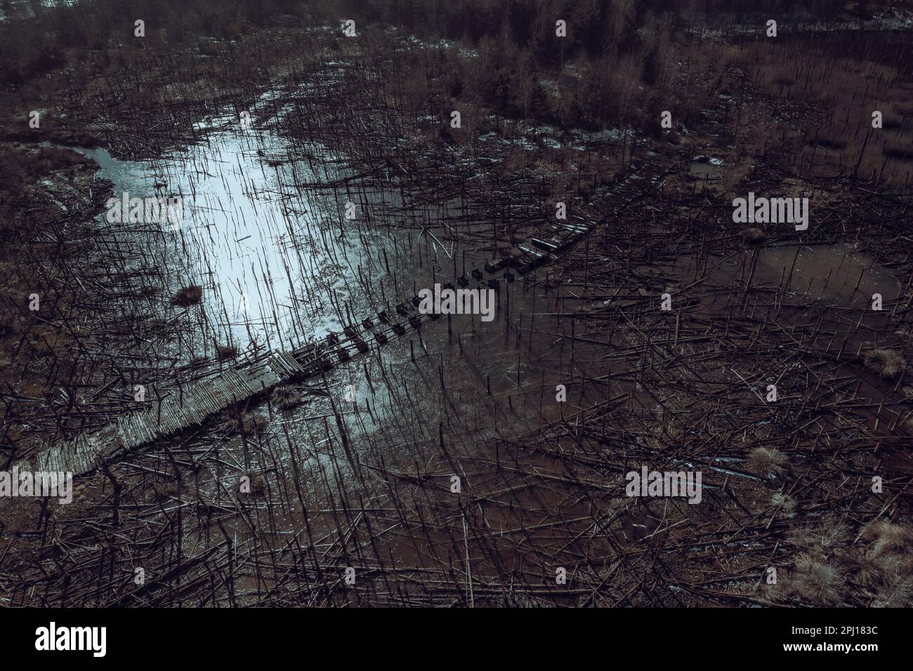 aerial view of an old dilapidated wooden bridge in a swamp surrounded ...