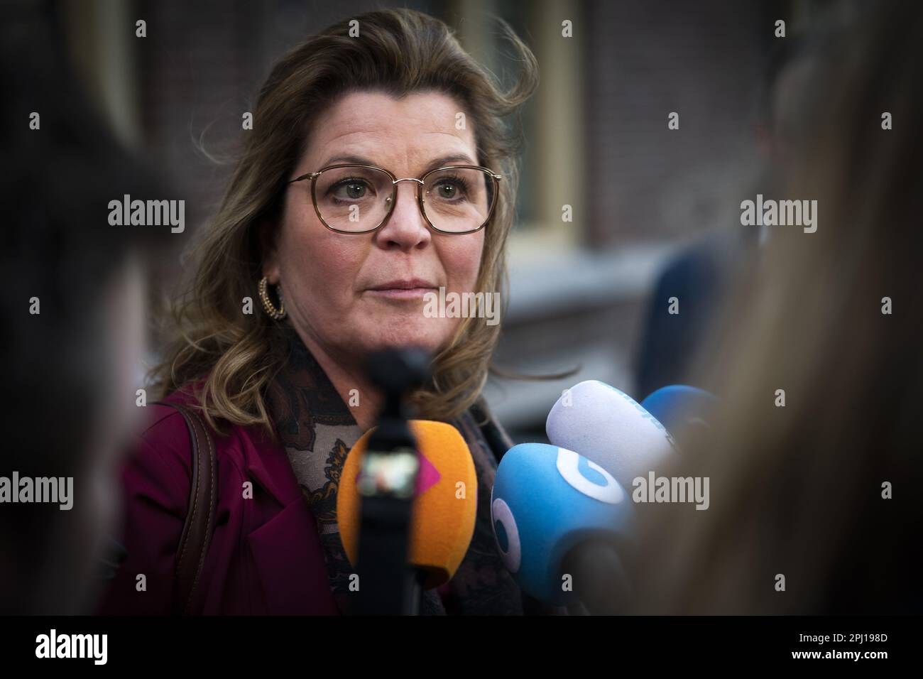 THE HAGUE - Minister Christiane van der Wal responds to a letter from ...