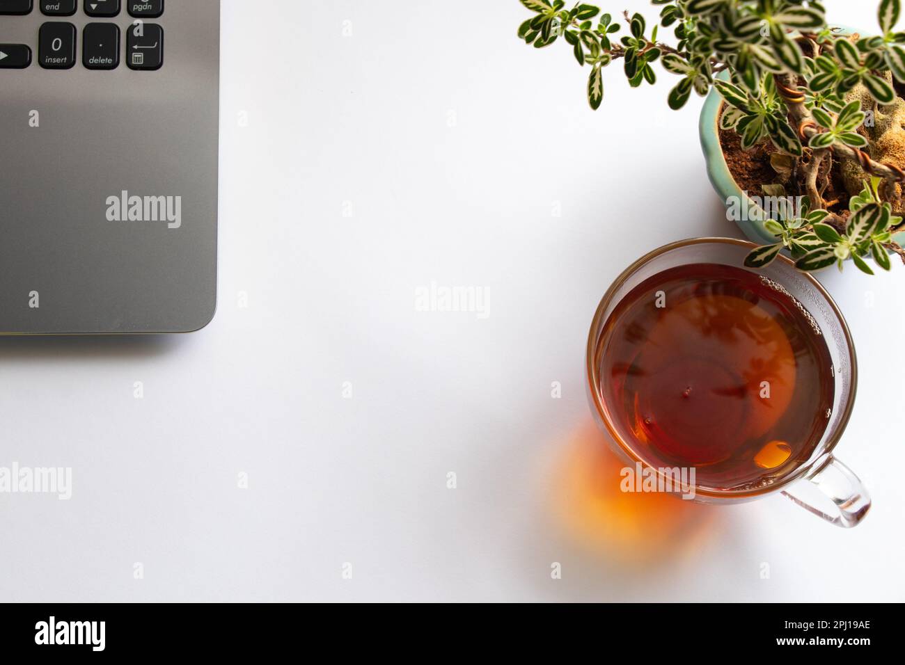 laptop and tea on a white background in the workplace Stock Photo - Alamy