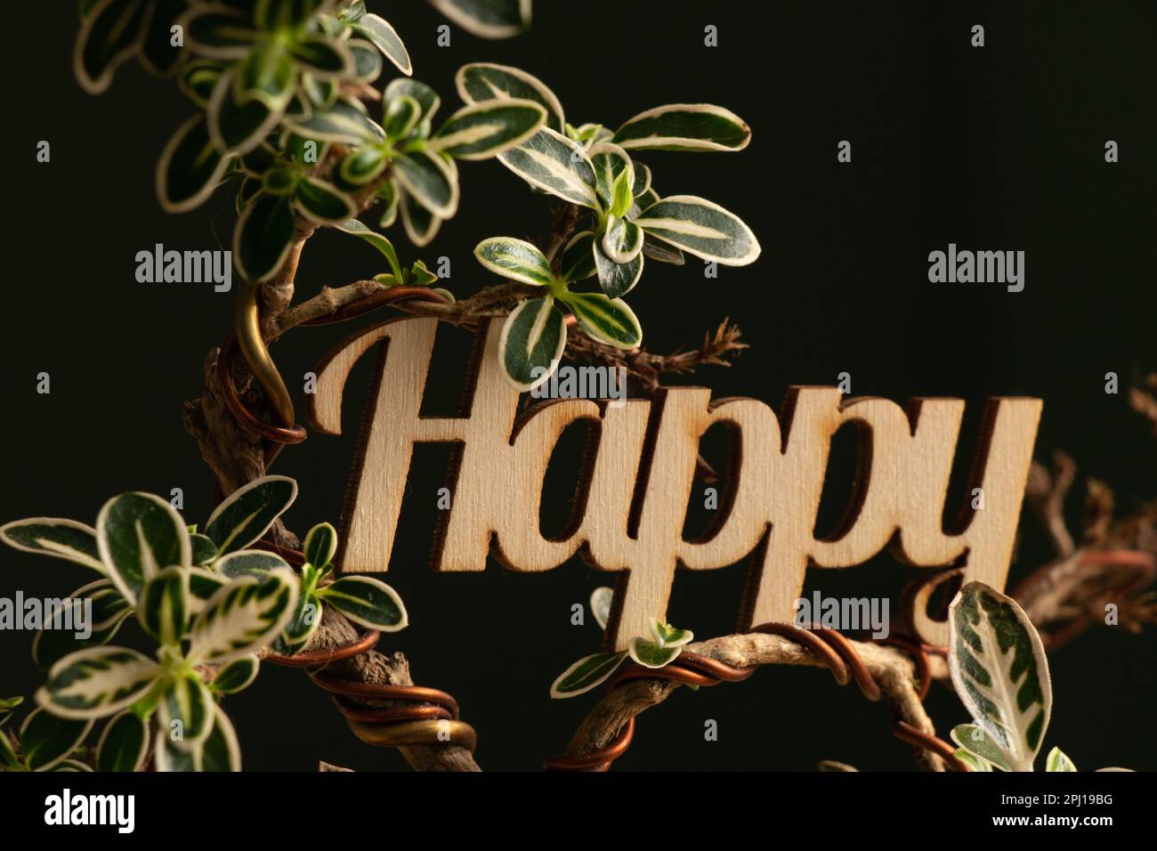 The word happy made of wooden letters on the branches of a decorative ...