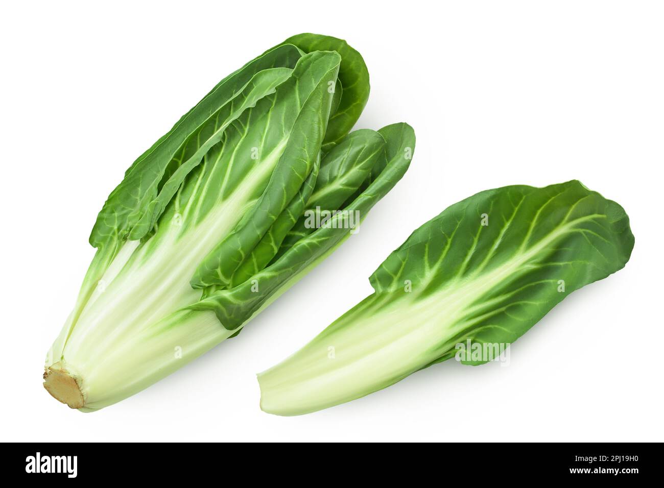 Organic fresh chard plant isolated on white background with full depth ...