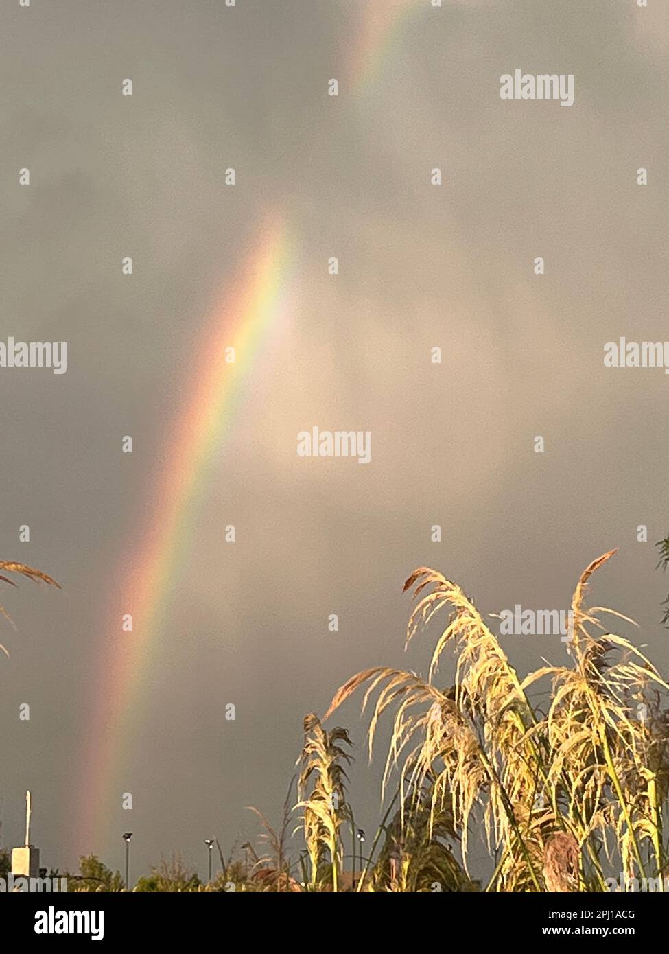 colorful rainbow after summer storm Stock Photo - Alamy