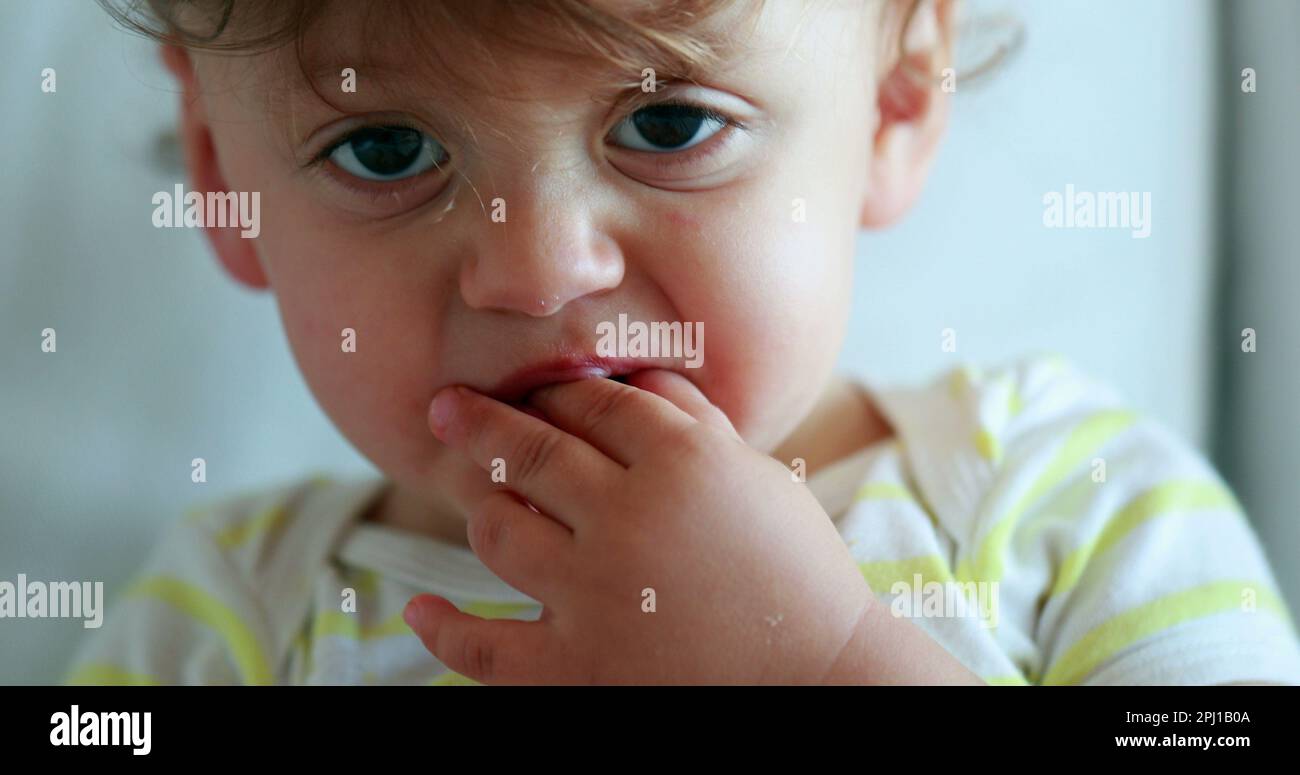 Portrait of baby one year old child eating snack, infant face chewing ...