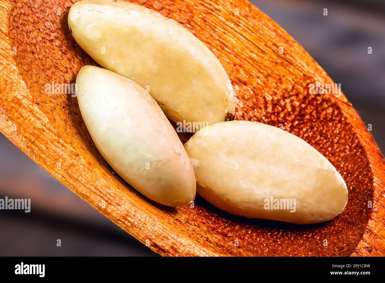 Brazil nut, macro photo, closeup. Acre chestnut in wooden spoon ...