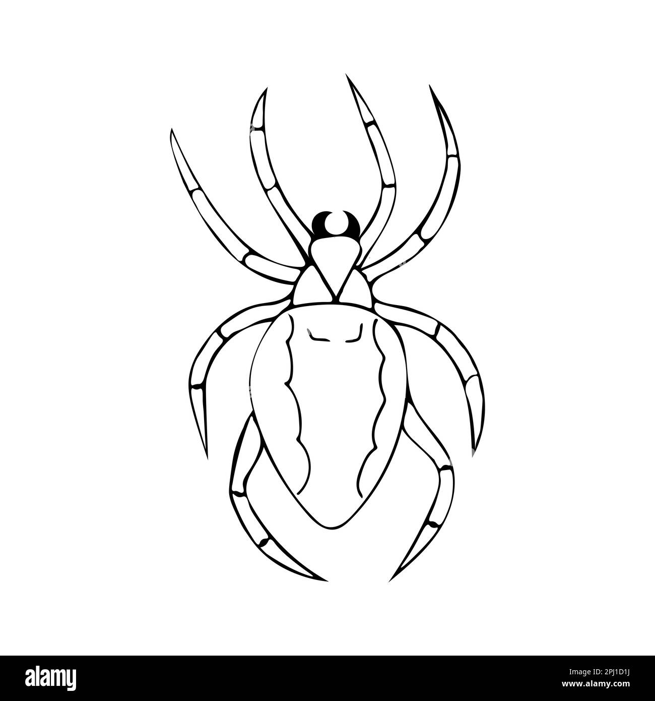 Vector illustration of hand-drawn dark spider. Doodle style vector ...