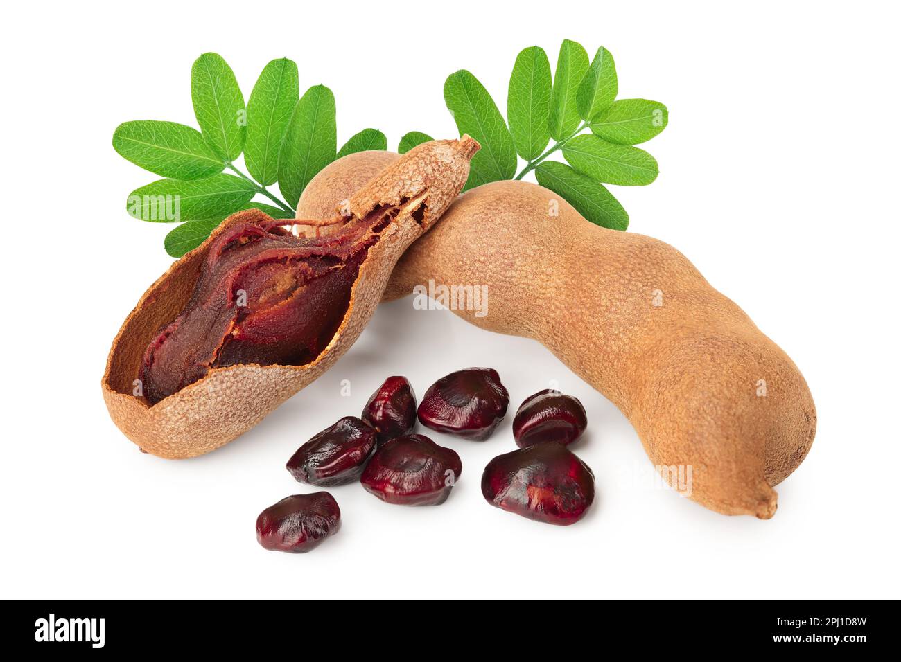 Tamarind fruit and seeds isolated on white background Stock Photo - Alamy