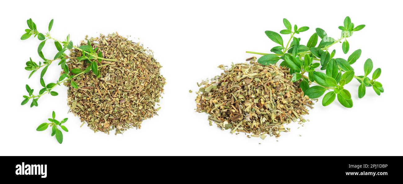 Green thyme with dried thyme leaves isolated on white background close up Stock Photo - Alamy