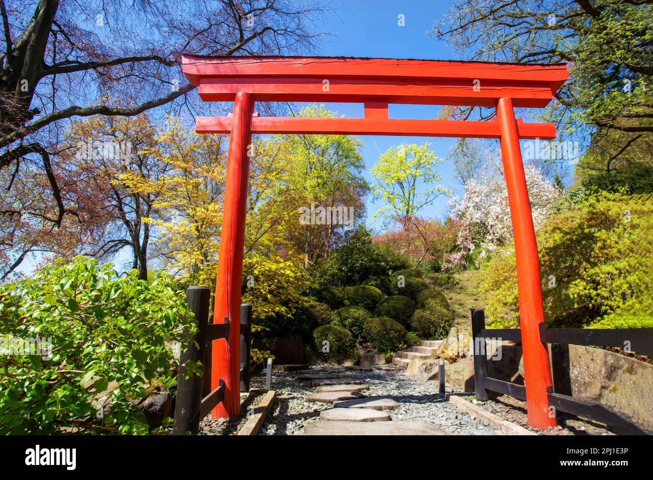 Torii gate in red color and Japanese garden behind in Kaiserslautern ...