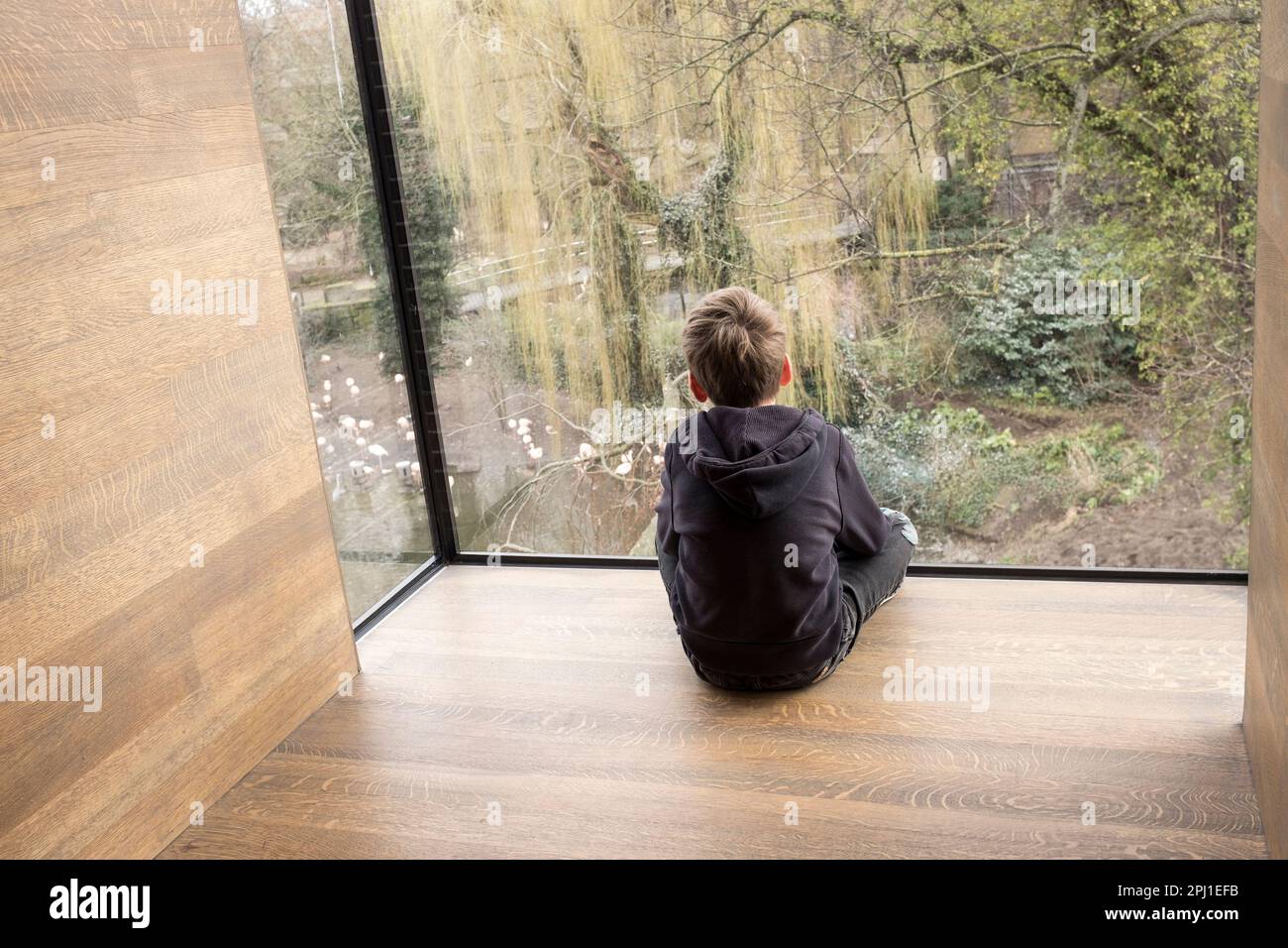 A view from behind of a young boy as he sits cross legged looking out ...