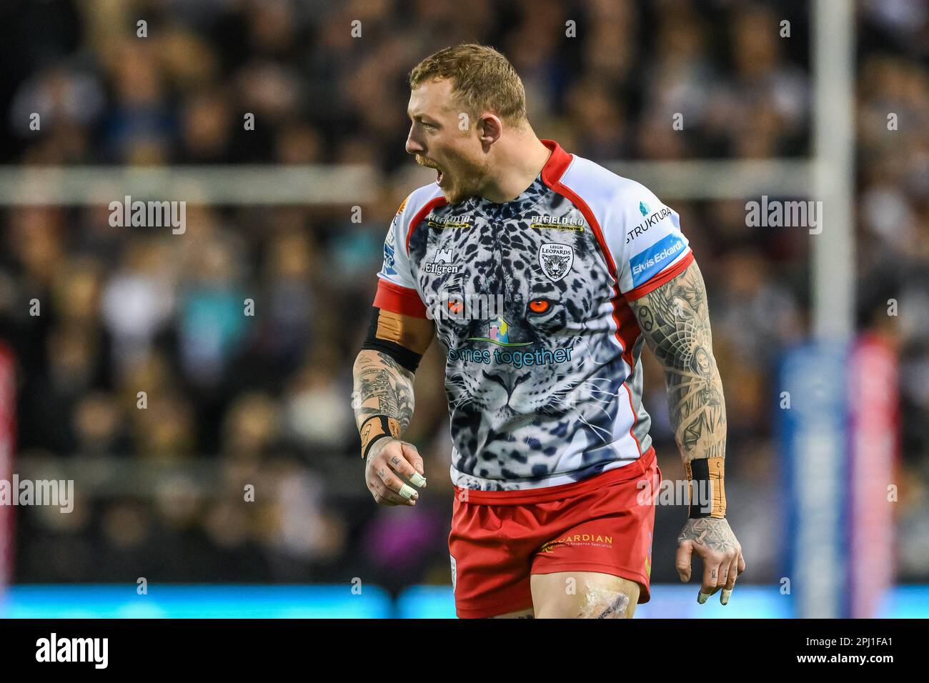 Josh charnley leigh leopards hi-res stock photography and images - Alamy