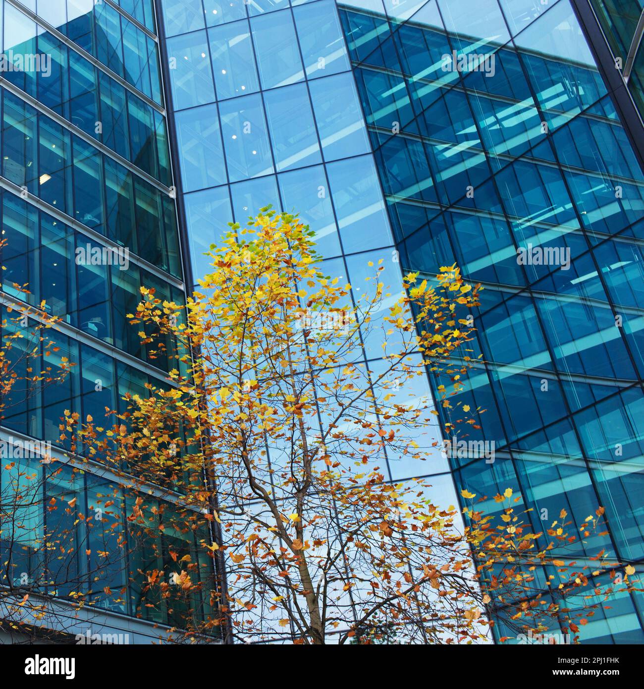 Building detail with a nod to nature in the financial centre of London ...