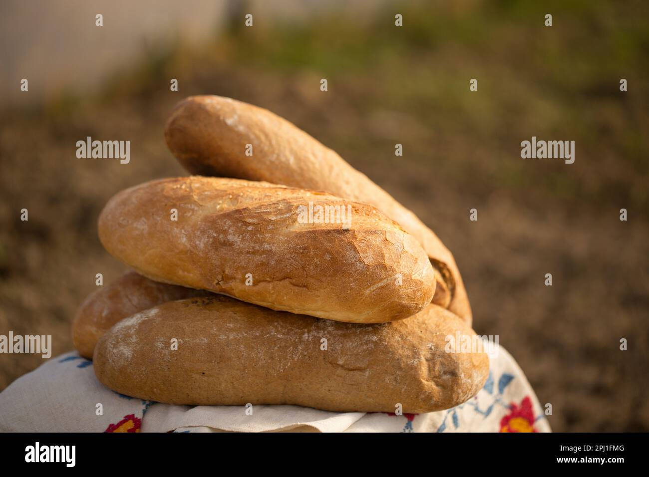 Grain is ukrainian gold hi-res stock photography and images - Alamy