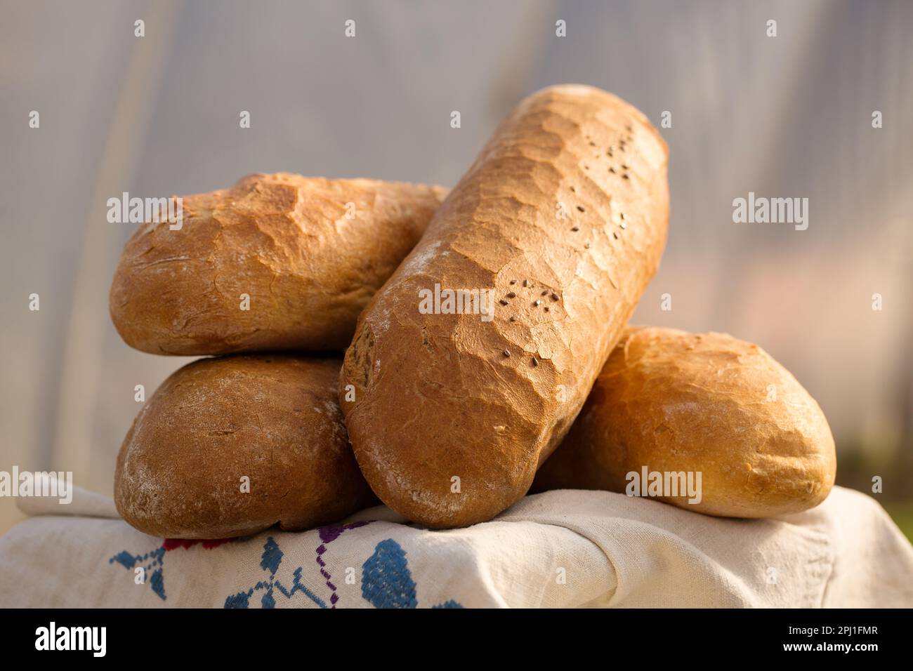 Grain is ukrainian gold hi-res stock photography and images - Alamy
