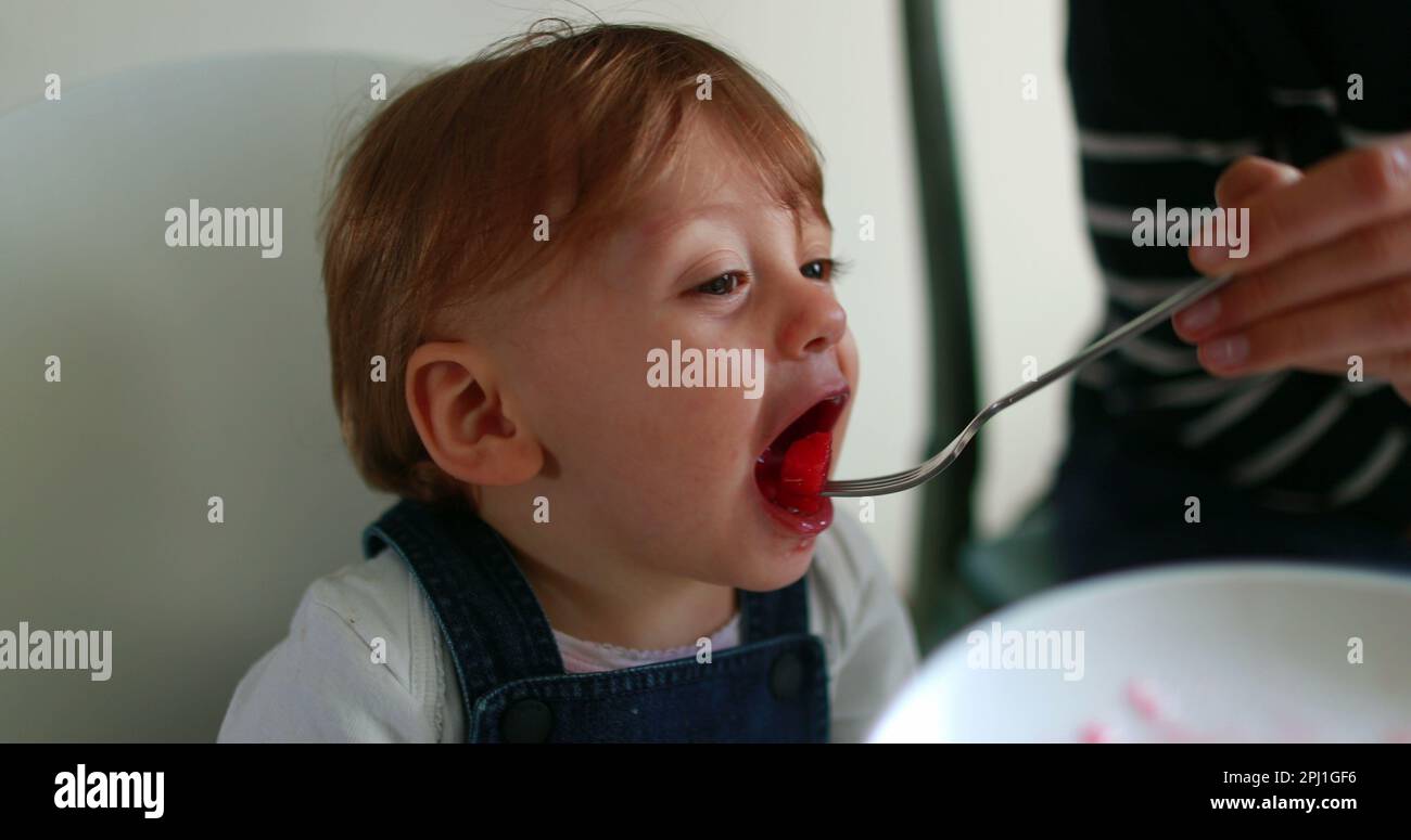 Toddler boy clapping hands while eating watermelon dessert Stock Photo ...