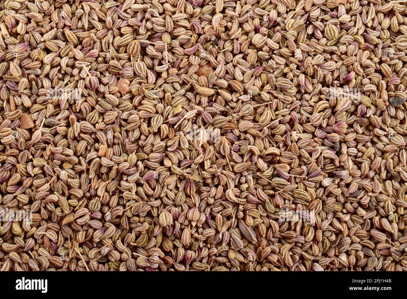 Texture of carom seeds or ajwain, indian spice Stock Photo - Alamy
