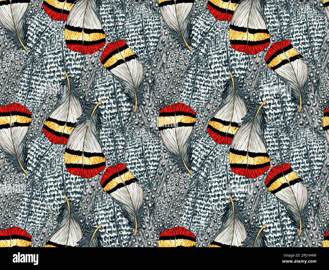 Hand drawn watercolor feather isolated on transparent background ...