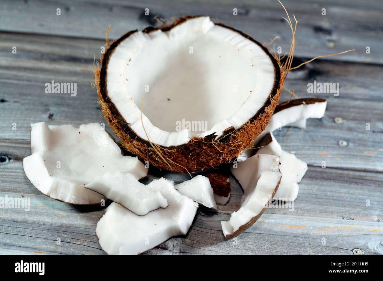 Coconut fruit cocoanut (Cocos nucifera) of the palm tree family ...