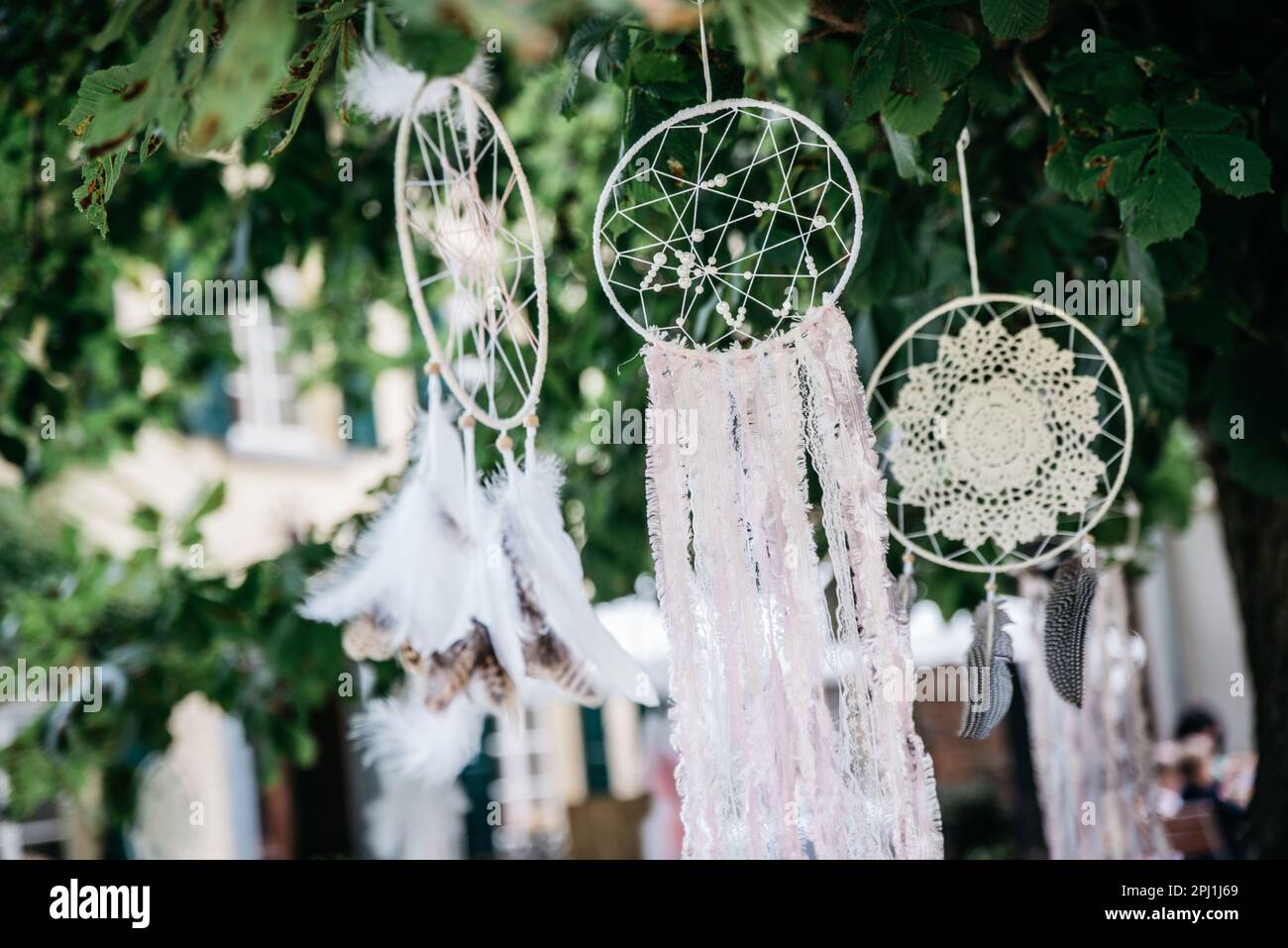 A tree adorned with a collection of white dream catchers hanging from ...
