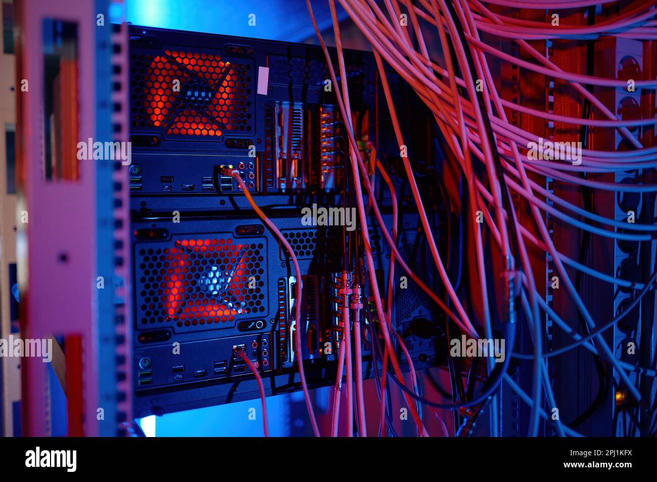 Network panel, switch and cable in data center with neon light tone ...