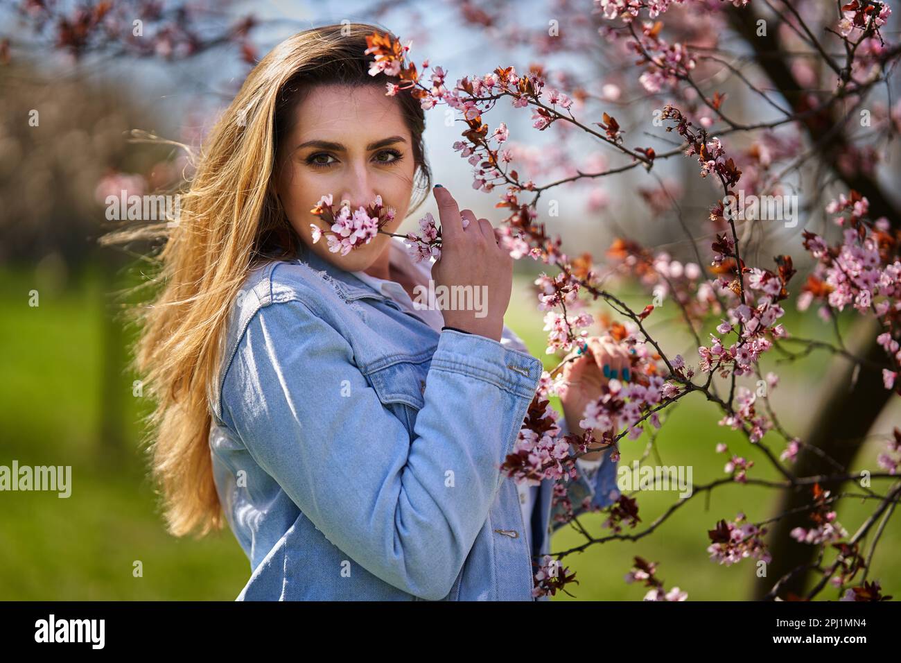 East asian young woman enjoying spring in a park with flowering trees ...