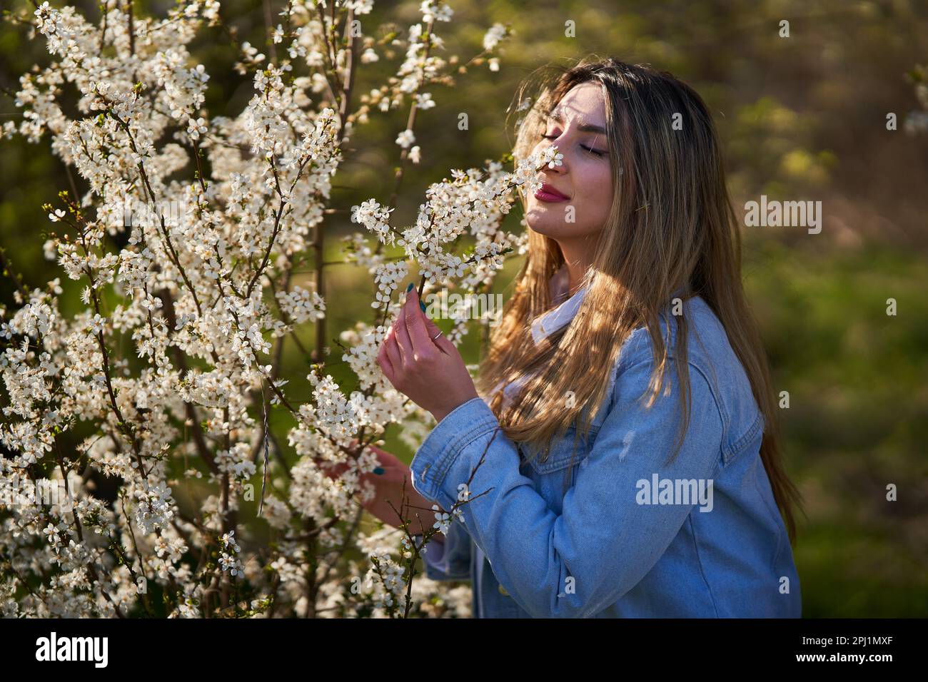 East asian young woman enjoying spring in a park with flowering trees ...
