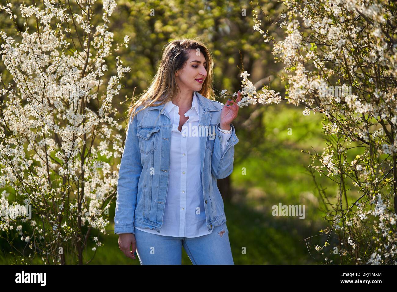 East asian young woman enjoying spring in a park with flowering trees ...