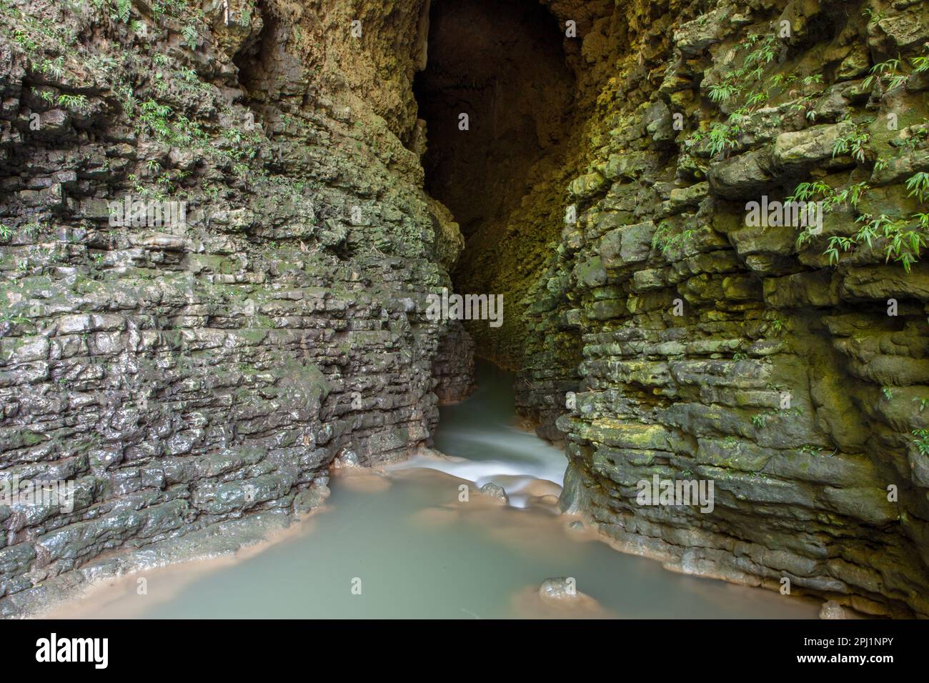 Beautiful river stream in the cave. Java island. Indonesia Stock Photo ...